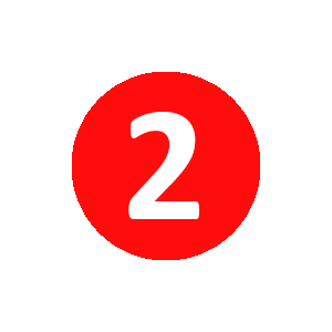 Traductora Pública Matriculada | María Corallo